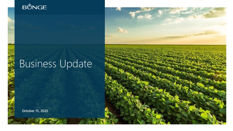 The Digest’s 2026 Multi-Slide Guide to Bunge : The Daily Digest